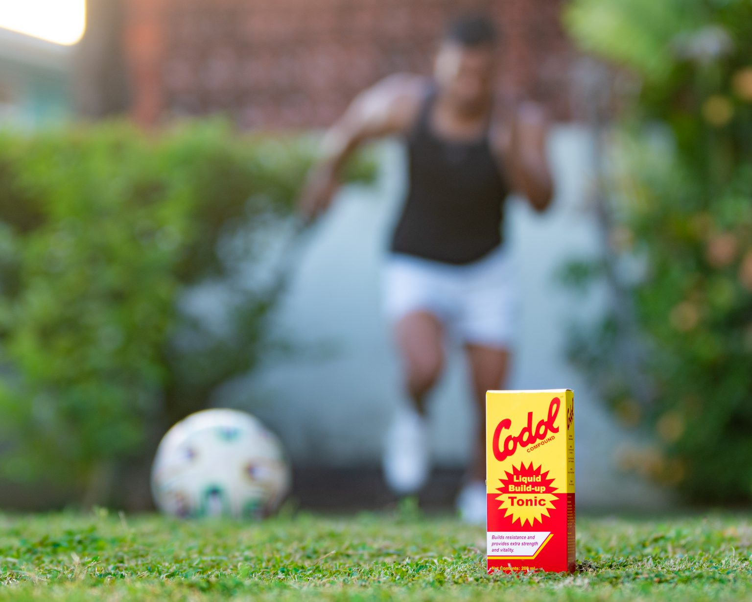 Codol - V&S Pharmaceuticals